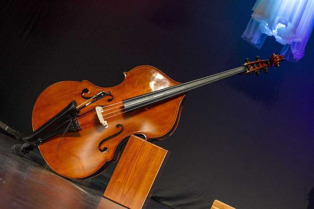 Double Bass Program | Academy of Music